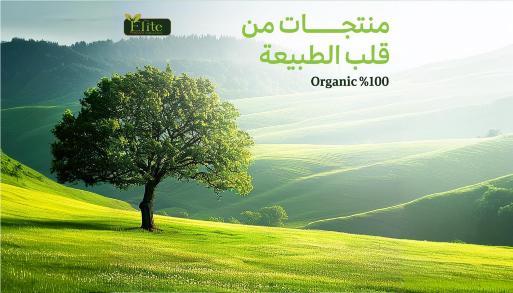 Cheese and Dairy Production in Saudi Arabia - Olyana